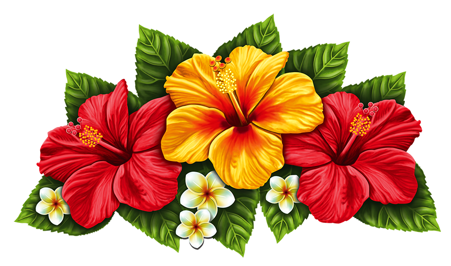 Hibiscus Flowers Clip Art