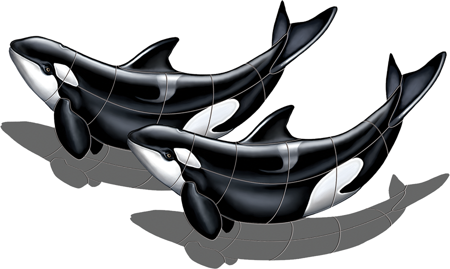 Orca Whale Pair Shadow Swimming Pool Mosaic | Custom Pool Mosaics ...