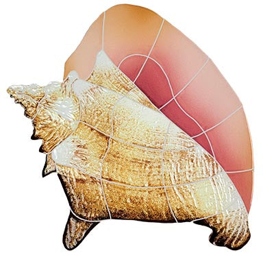 Queen Conch Shell Swimming Pool Mosaic | Mosaic Pool Tiles – Ceramic ...