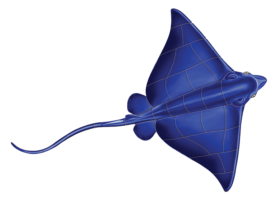 Blue Stingray Swimming Pool Mosaic | Custom Pool Mosaics & Pool Tile ...