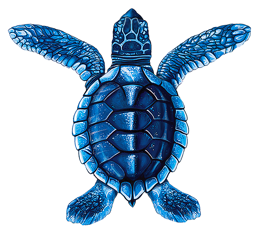 Turtle Swimming Pool Mosaics Tiles – Ceramic Mosaic Art