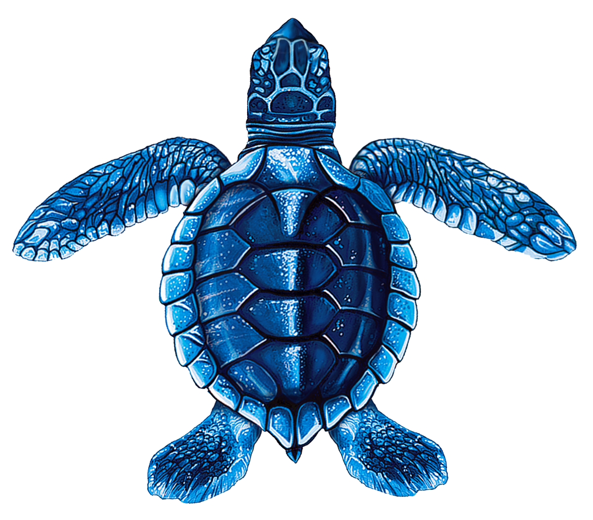 Turtle Swimming pool mosaic tiles Baby Blue | Ceramic pool tile ...