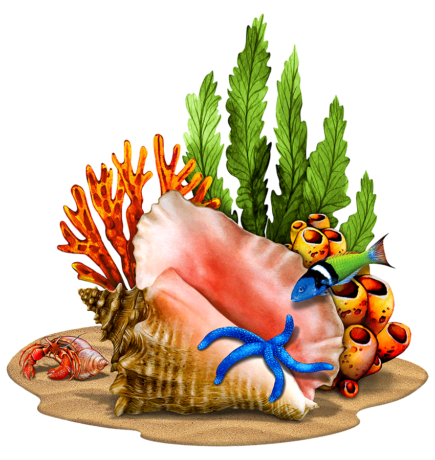 Conch Shell with Sea Grass Swimming Pool Mosaic | Mosaic Pool Tiles ...