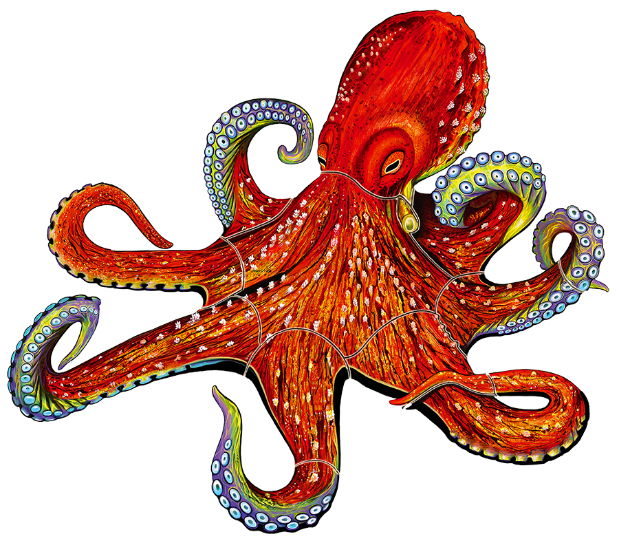 Giant Pacific Octopus Swimming Pool Mosaic – Ceramic Mosaic Art