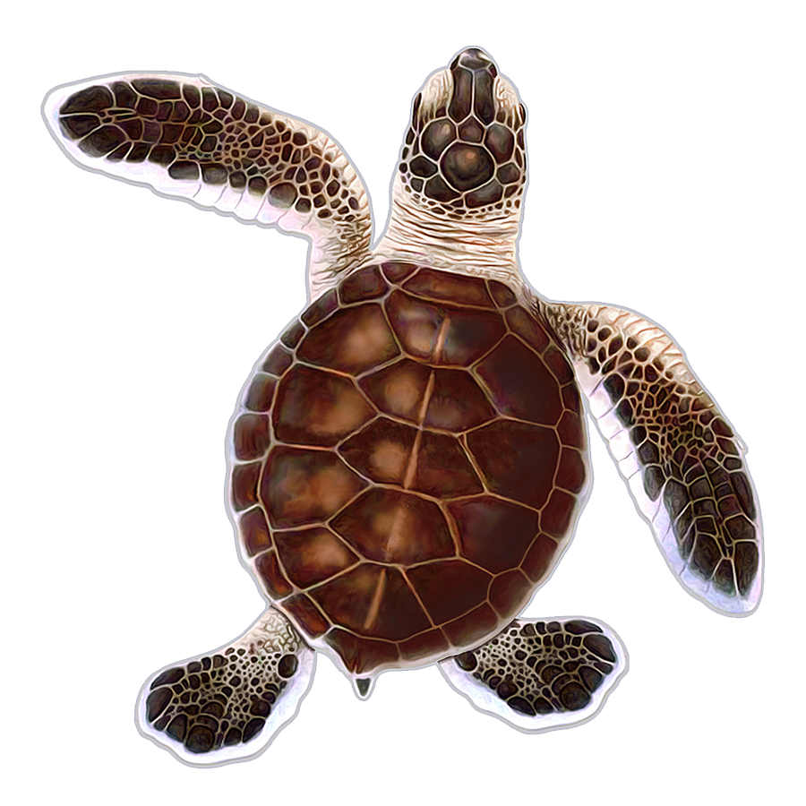 Turtle Hatchling Swimming Pool Mosaic Baby Brown – Ceramic Mosaic Art