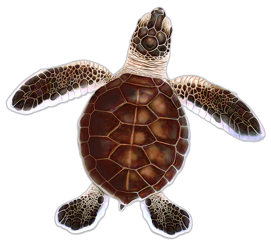 Turtle Hatchling Swimming Pool Mosaic Baby Brown – Ceramic Mosaic Art